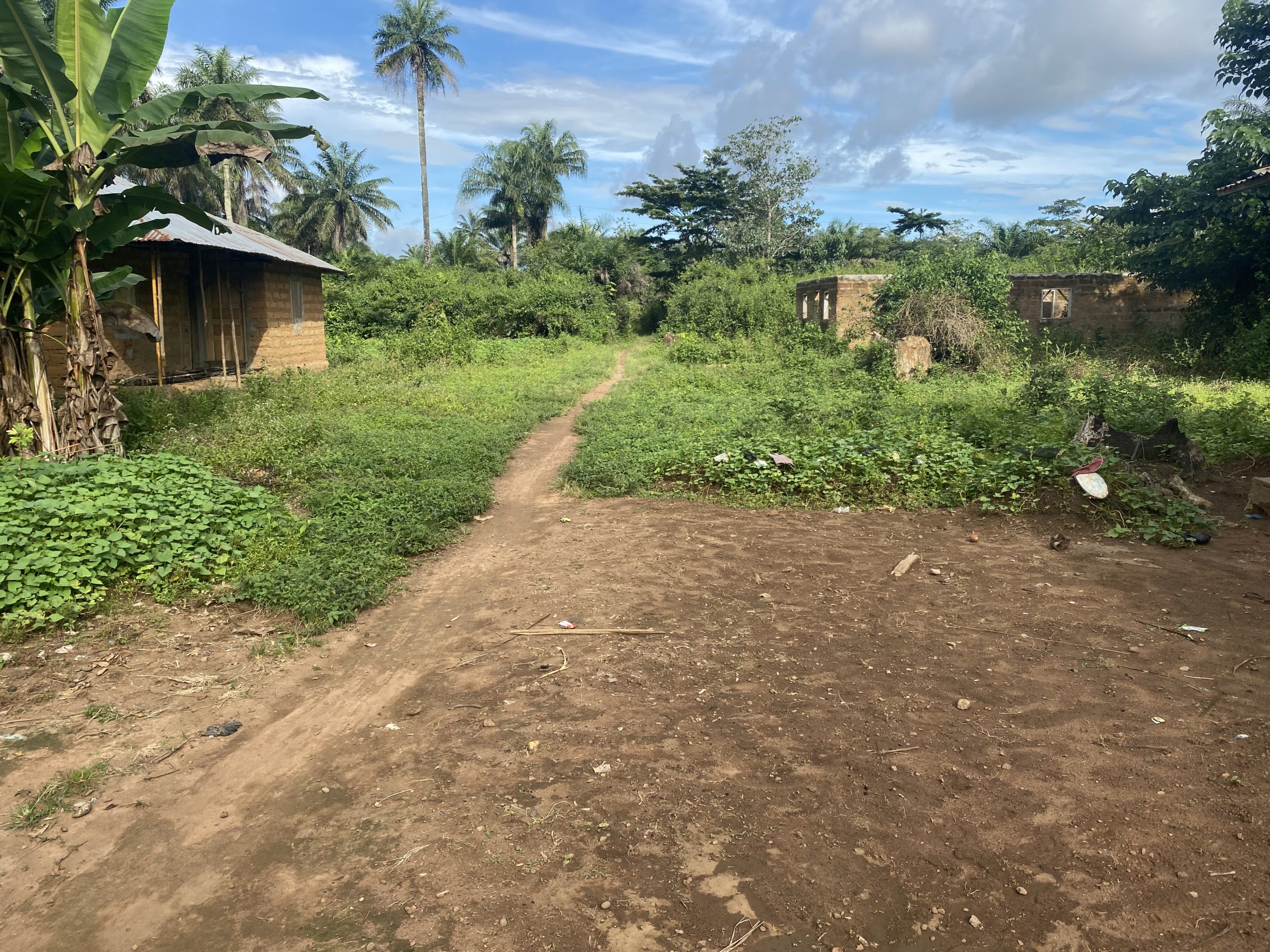 Conservative Friends of International Development support sustainable living NGO Reseed in ...